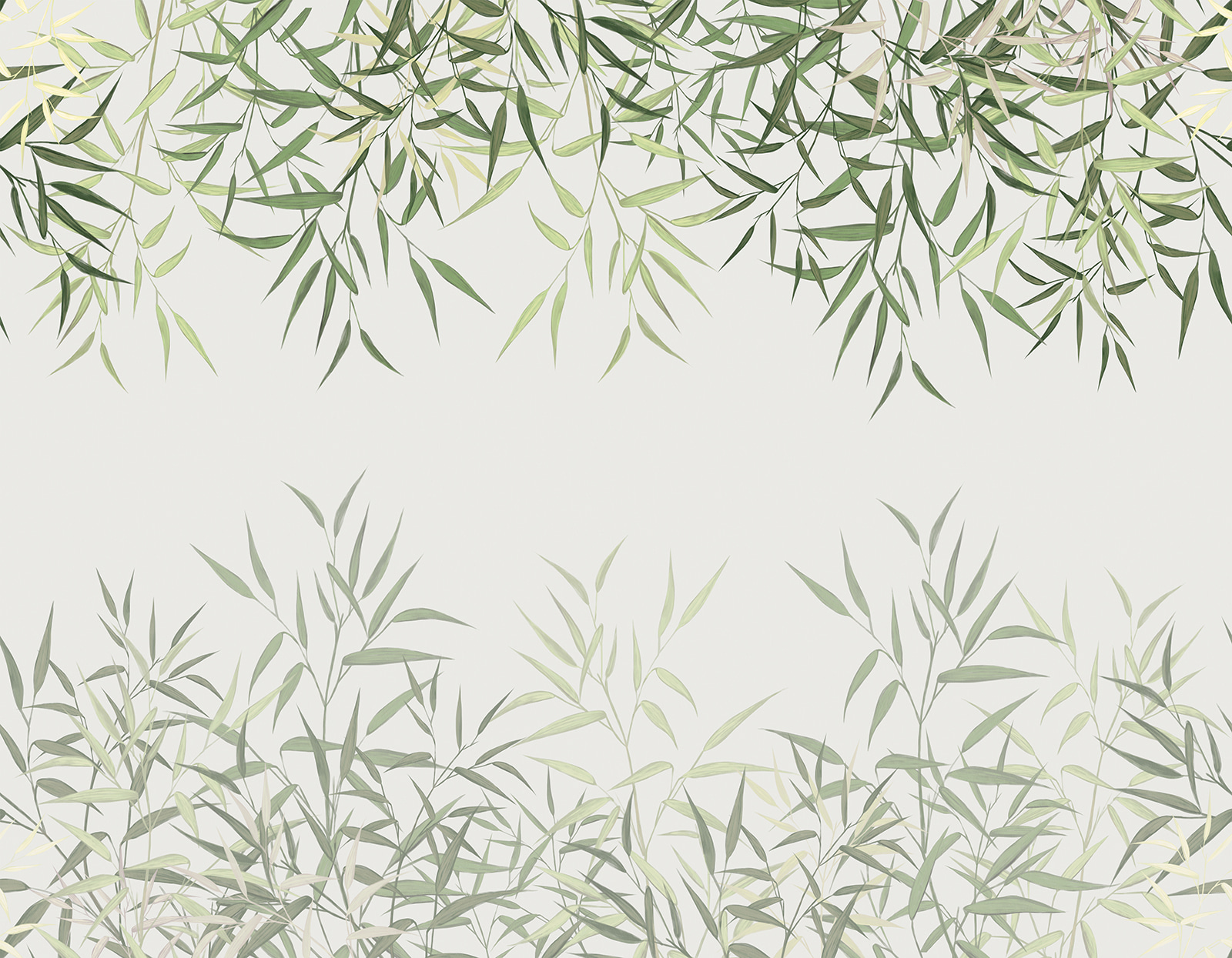Wall murals Delicate bamboo leaves on soft background. : u95355 - Tapeko.ie